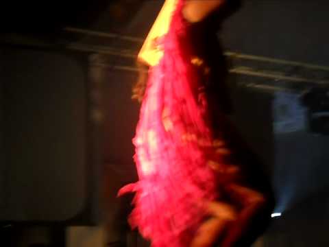 chicas car audio 27