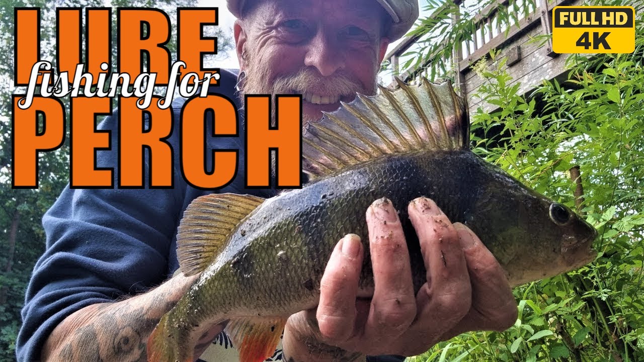 RIVER LURE fishing for PERCH and PIKE - YouTube