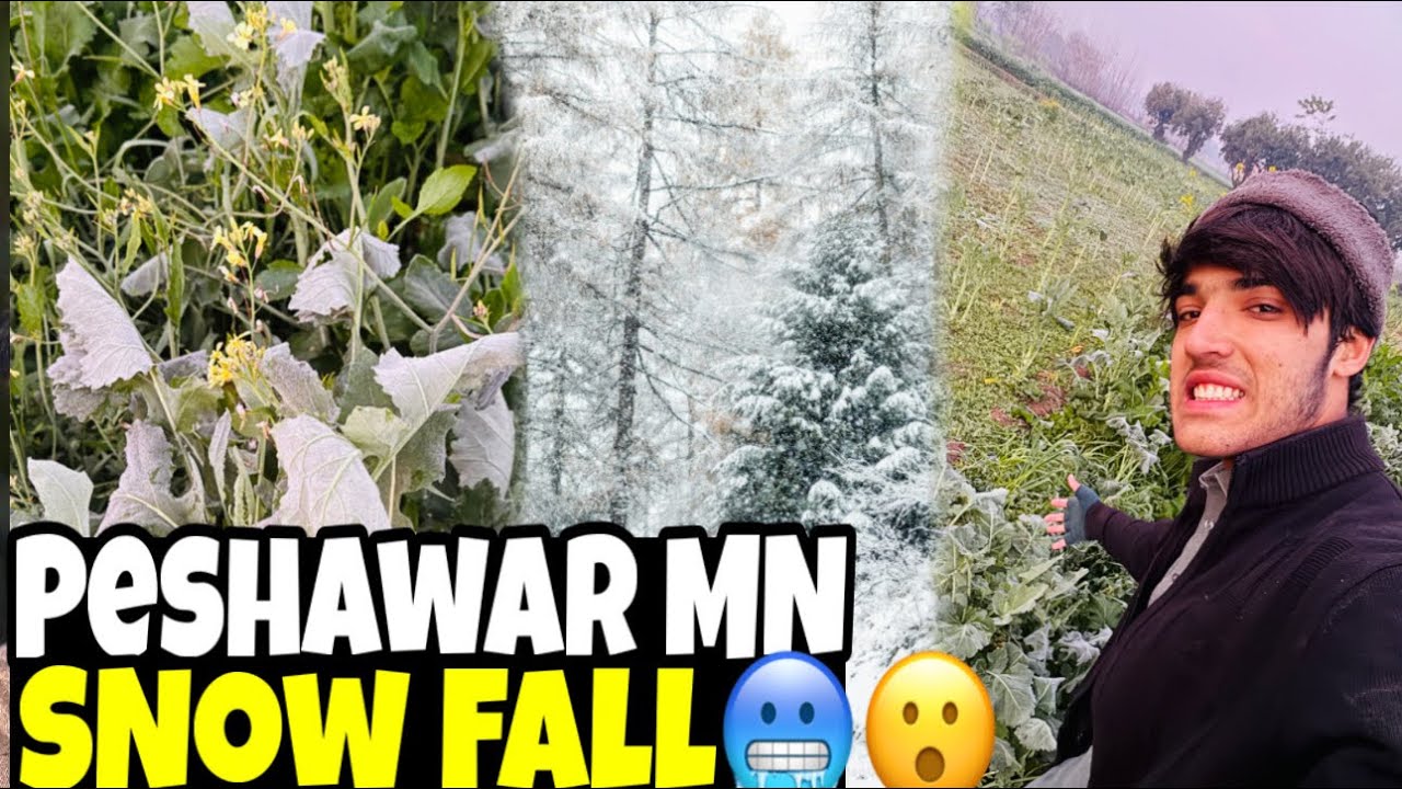 PESHAWAR MAIN PEHLI BAAR SNOW FALL 😱 ️ | YAQEEN NHI AAYEGA AISA MAUSAM ...
