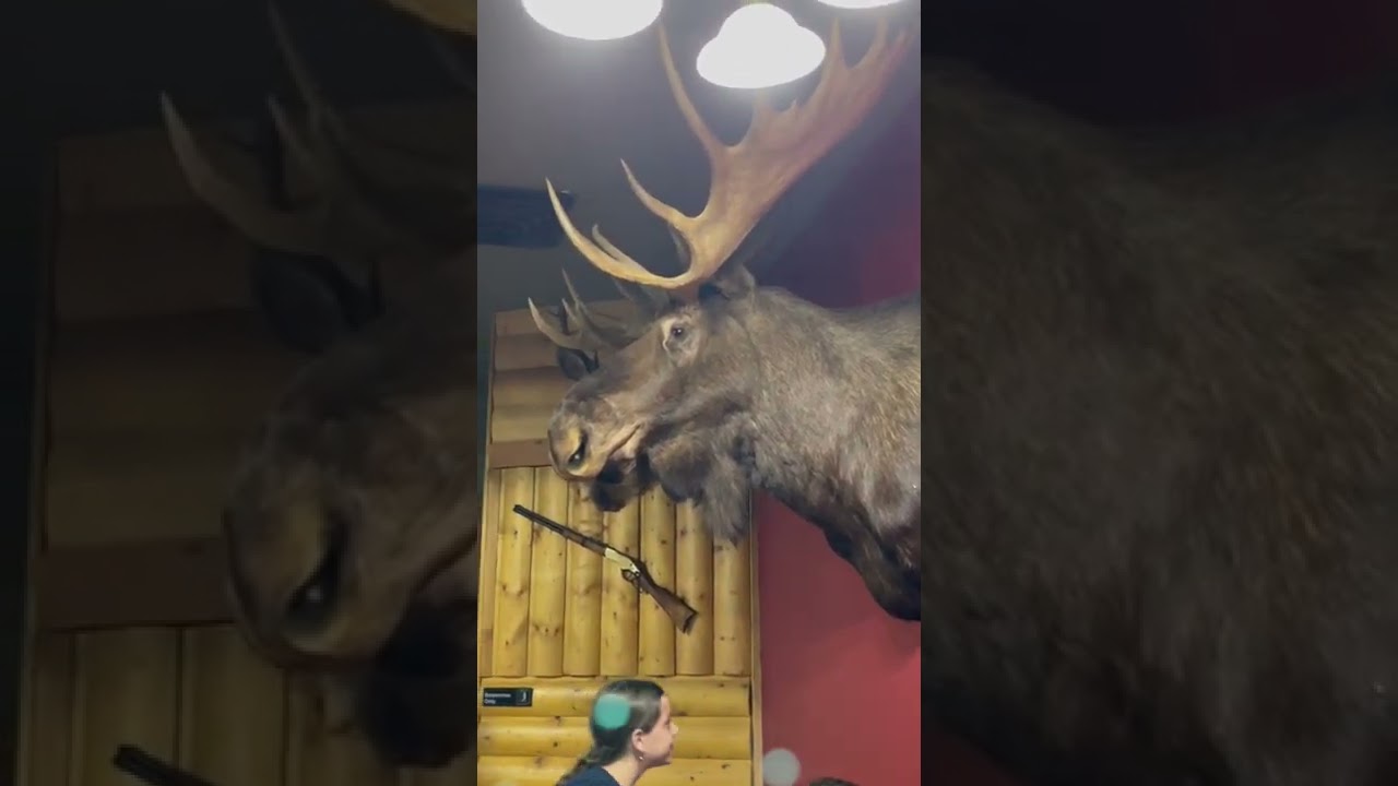 Very Cool display ! - YouTube