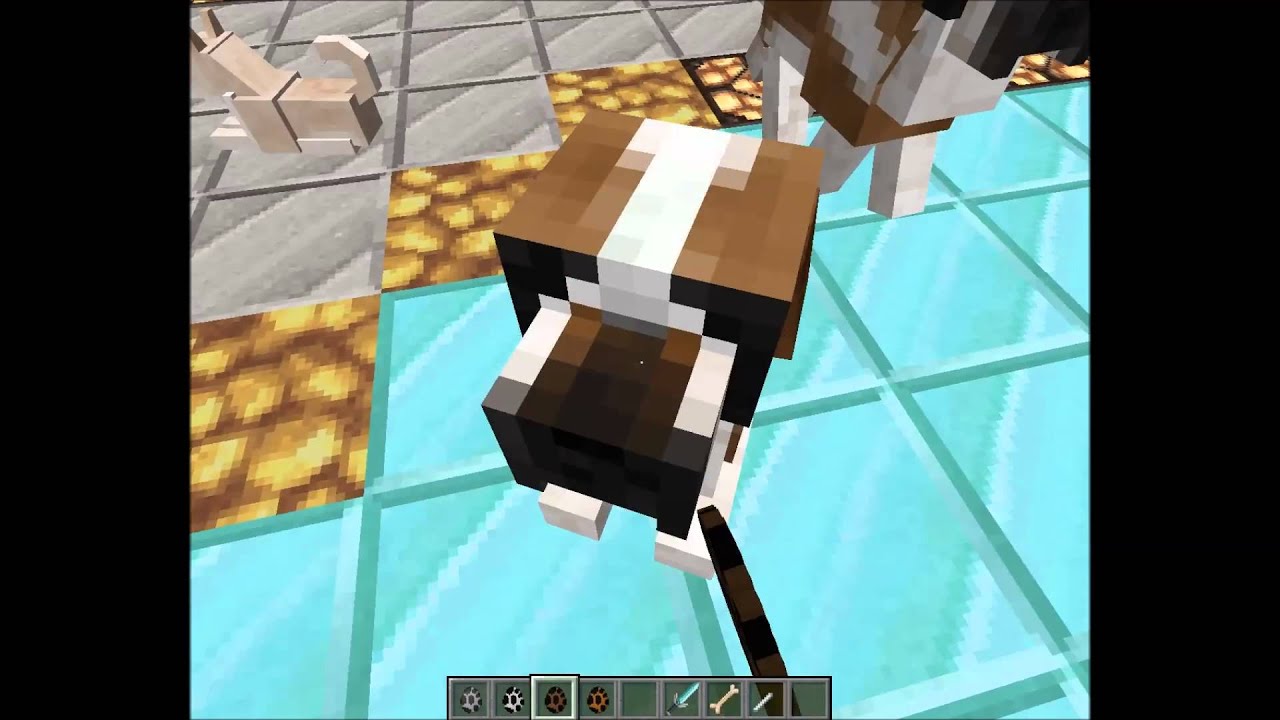 Minecraft I Real Life Dog I Mod ShowCase - YouTube