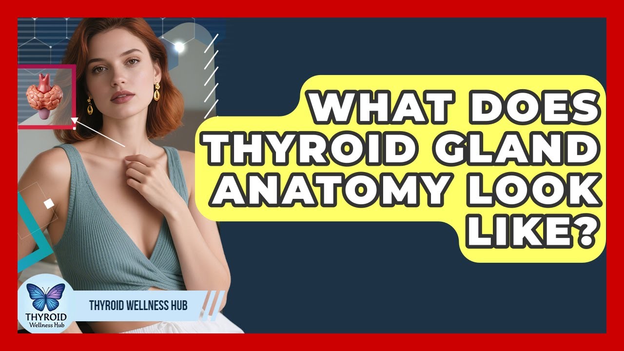 What Does Thyroid Gland Anatomy Look Like? - Thyroid Wellness Hub - YouTube