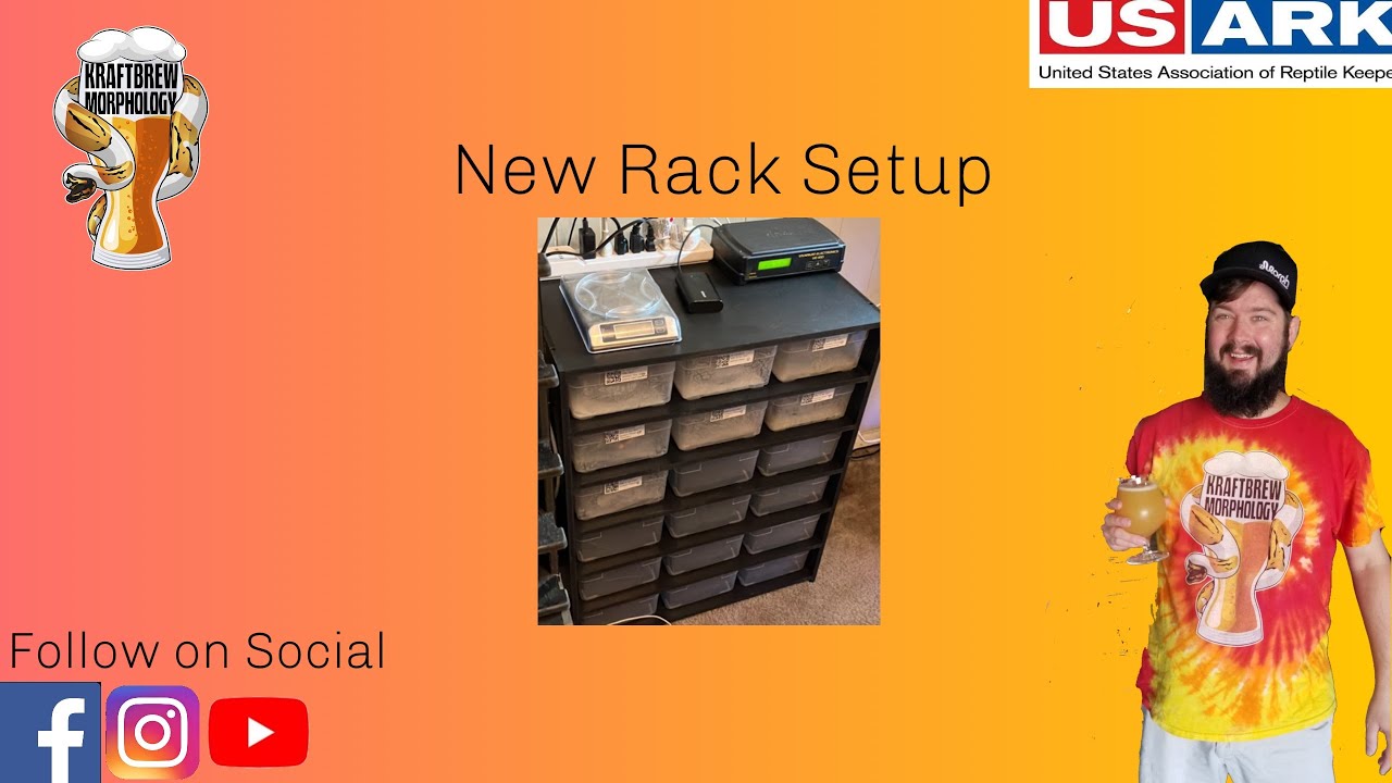 Brand New Ball Python Hatchling Rack Set Up - YouTube