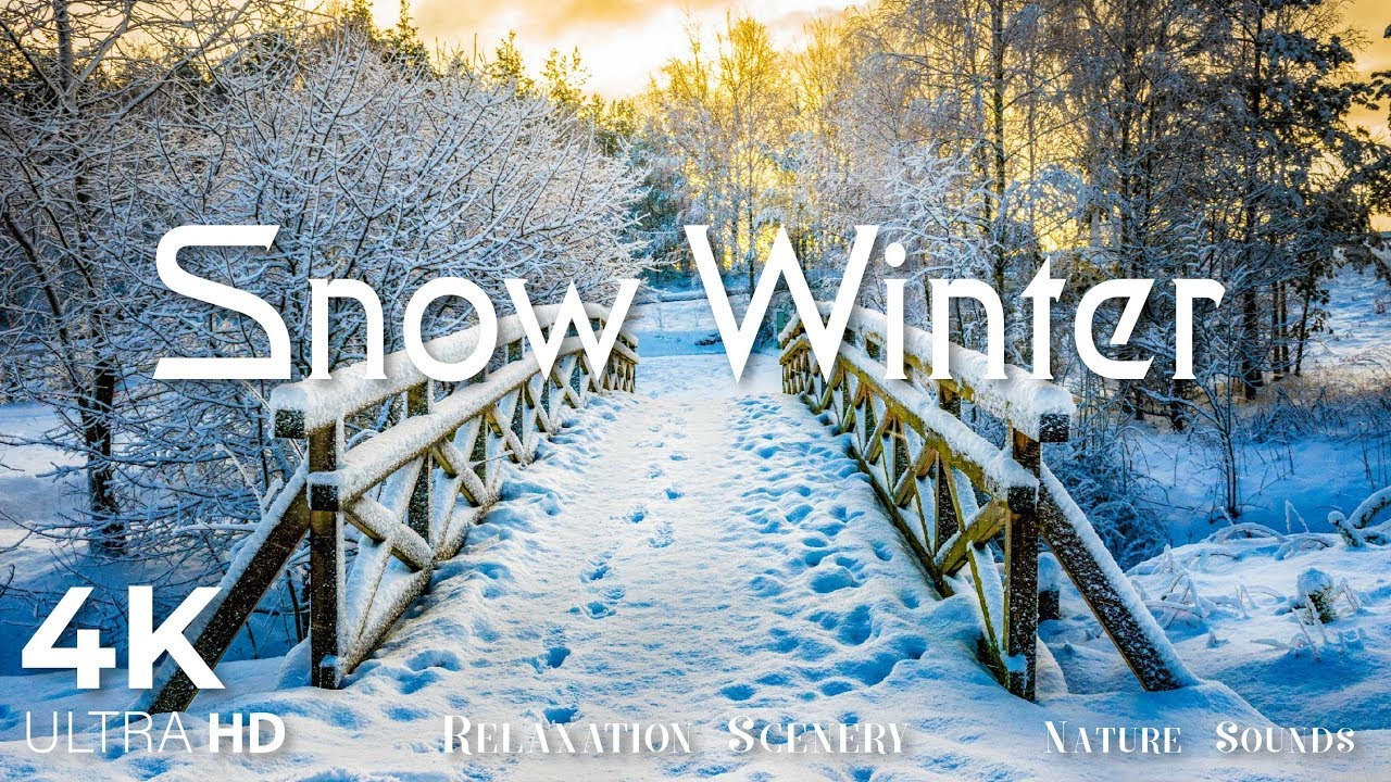 4K Snowfall - Peaceful Snowing - Snow Falling - Relaxing Winter Video ...