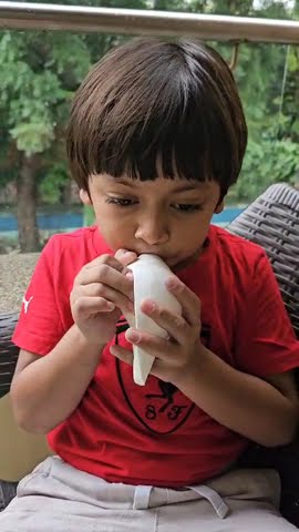 CONCH SHELL - YouTube