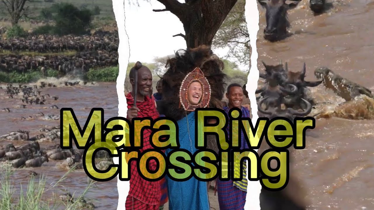 The Mara River Migration - YouTube