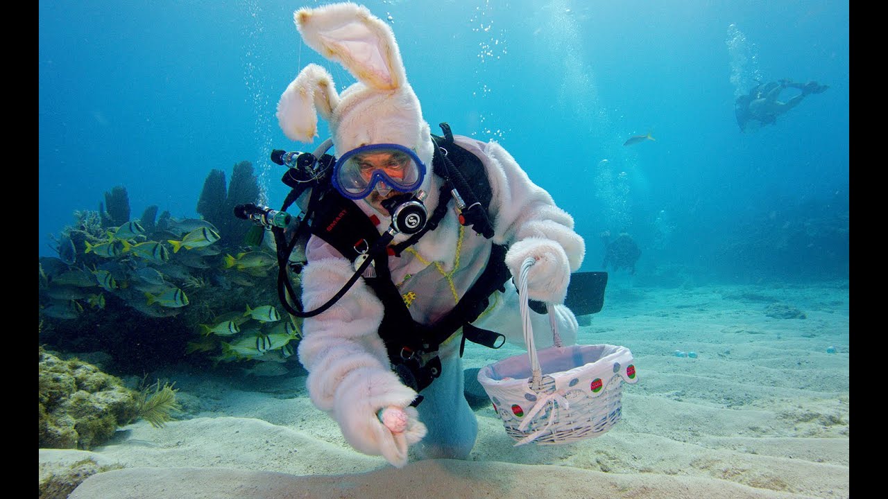 Underwater Easter Bunny in the Florida Keys - YouTube