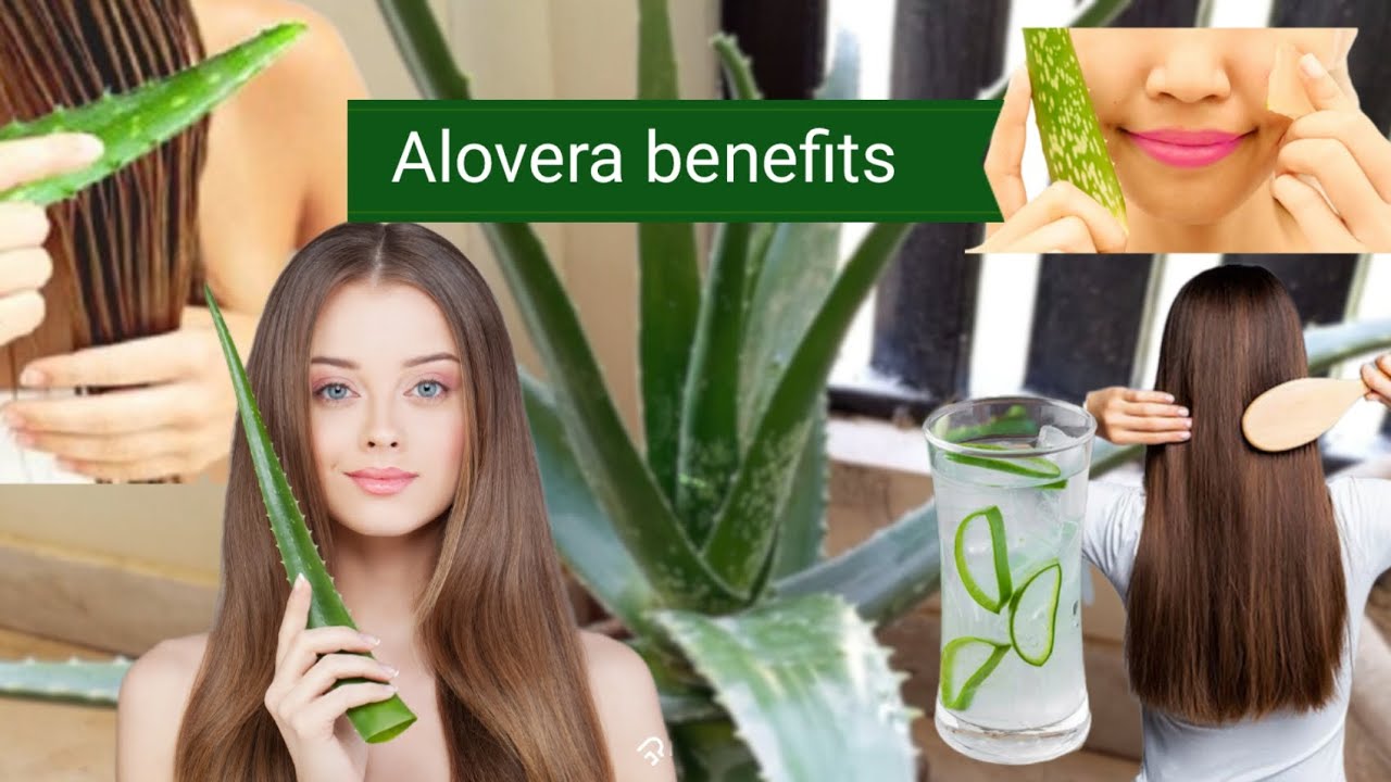 Benefits of alovera gel 💚|uses of alovera||Umme - YouTube