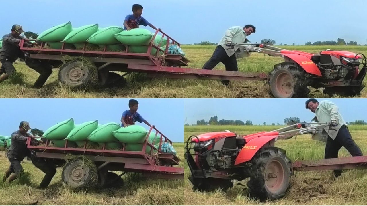 Using Mini Tractors To Move The Rice From The Rice Field | Tractors For ...
