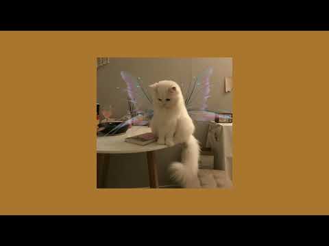 khalid - young  dumb and broke (sped up)