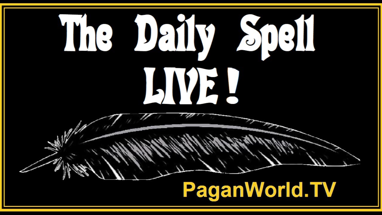 The Daily Spell Live! - YouTube