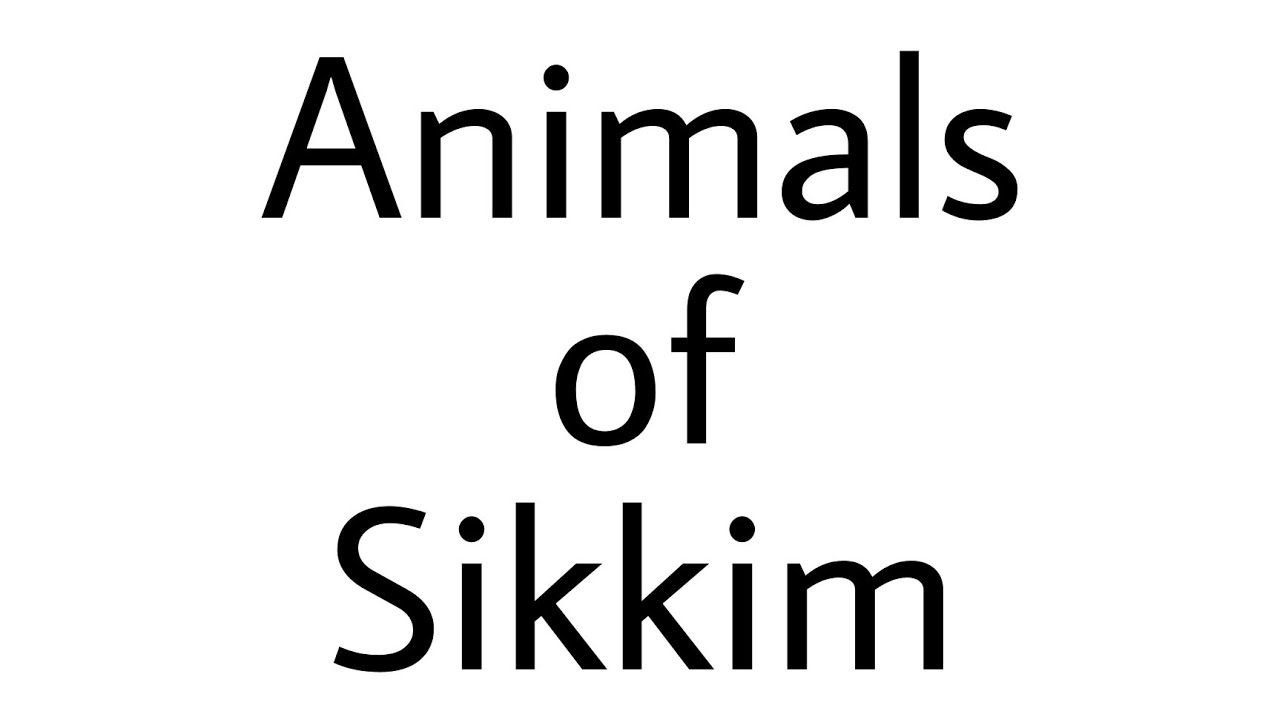 animals of Sikkim / Sikkim project / Sikkim file / Sikkim animals ...