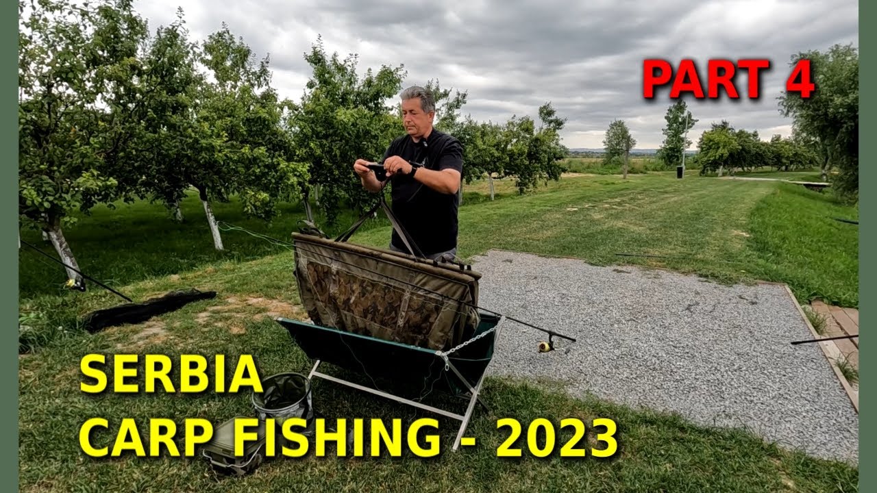 Carp fishing in Serbia, Golden Carp Lake - Donji Petrovci - June 2023 ...