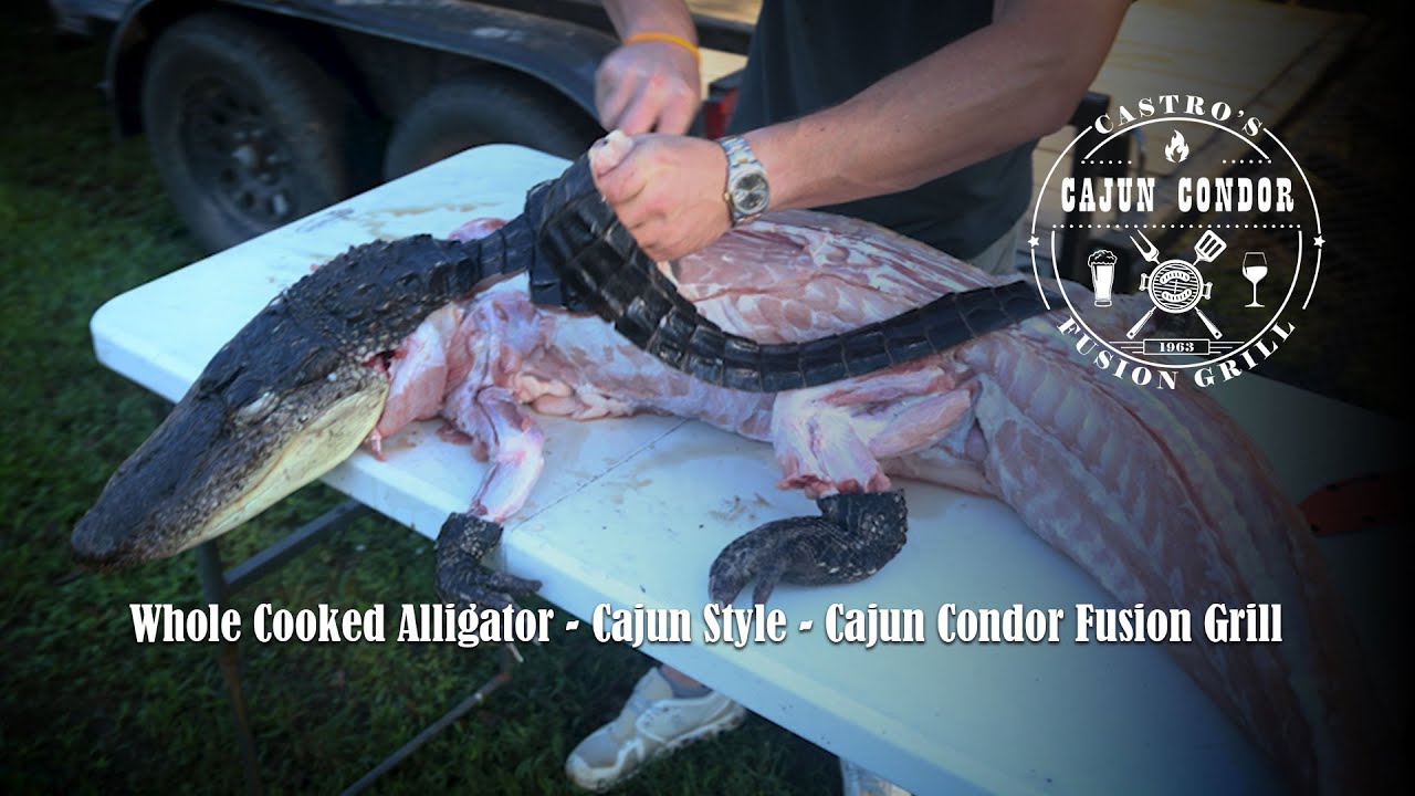 Whole Cooked Alligator - Cajun Style - Cajun Condor Fusion Grill - YouTube