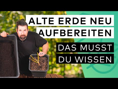 Alte Erde neu aufbereiten ♻️ 🪴 Einfache Schritt-für-Schritt Anleitung ✅