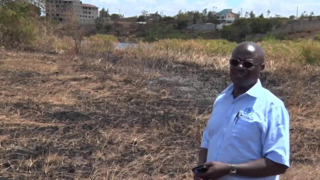 Introduction to Daykio Bustani - YouTube