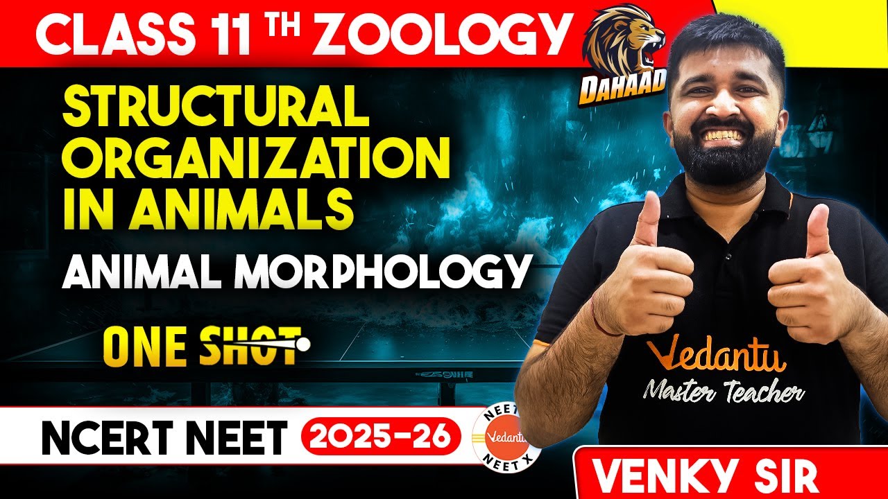 Animal Morphology - Cockroach Class 11 One Shot | STRUCTURAL ...