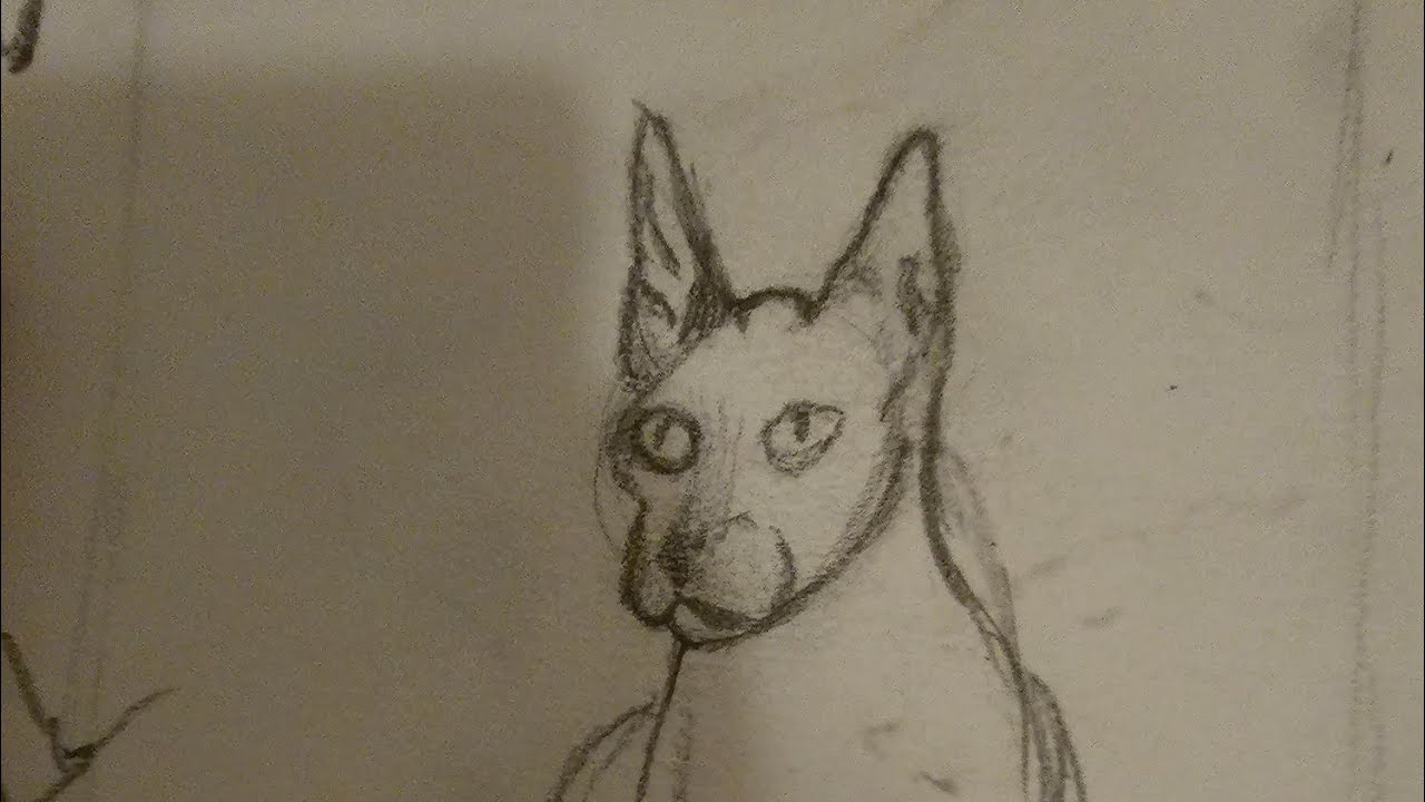 Full Body Kitty! | Day 11 - YouTube