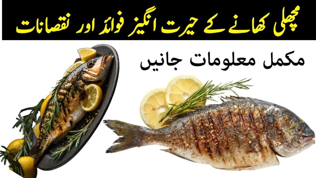 Machli Khane Ke Fayde Aur Nuksan l Fish Khane Ke Benefits l Fish Khane ...