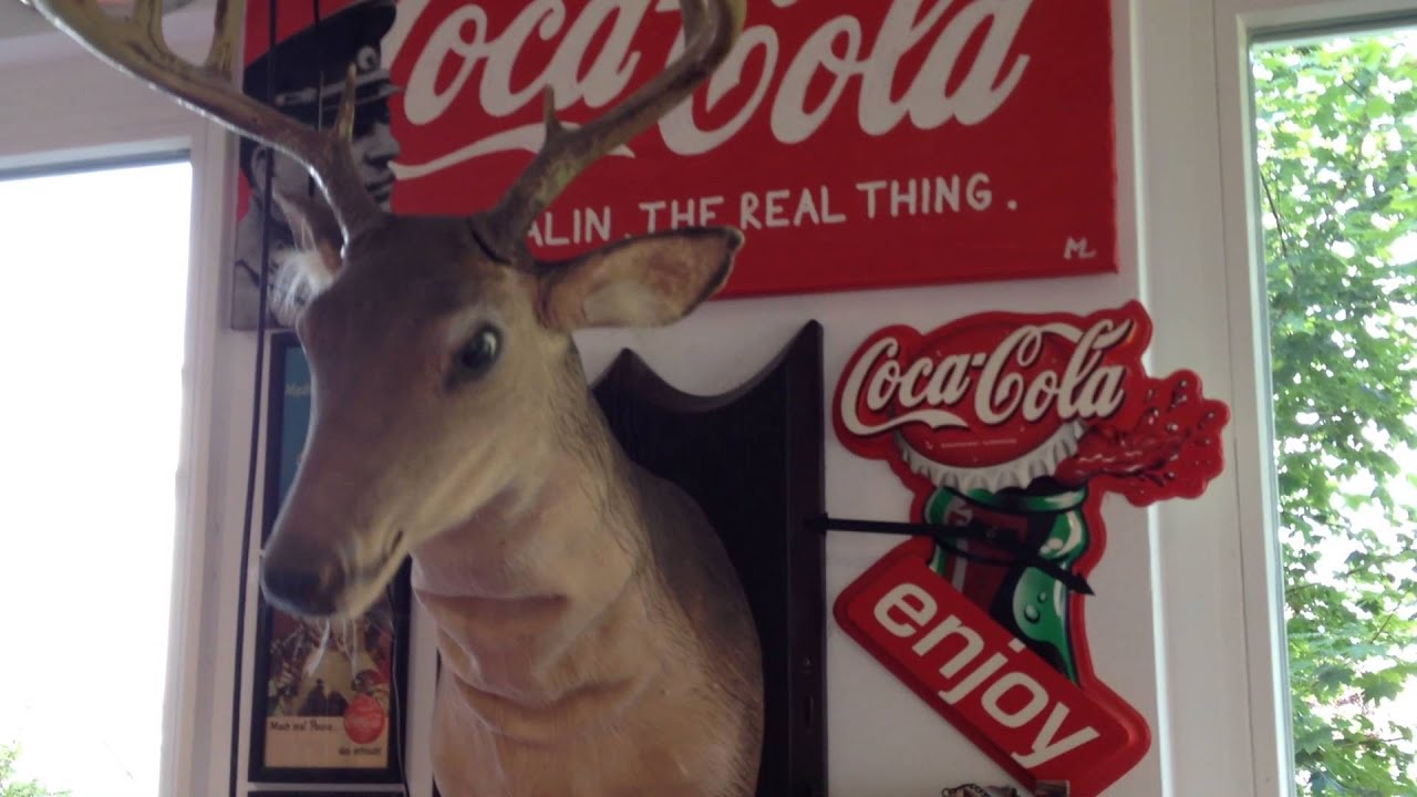 singing buck deer - YouTube