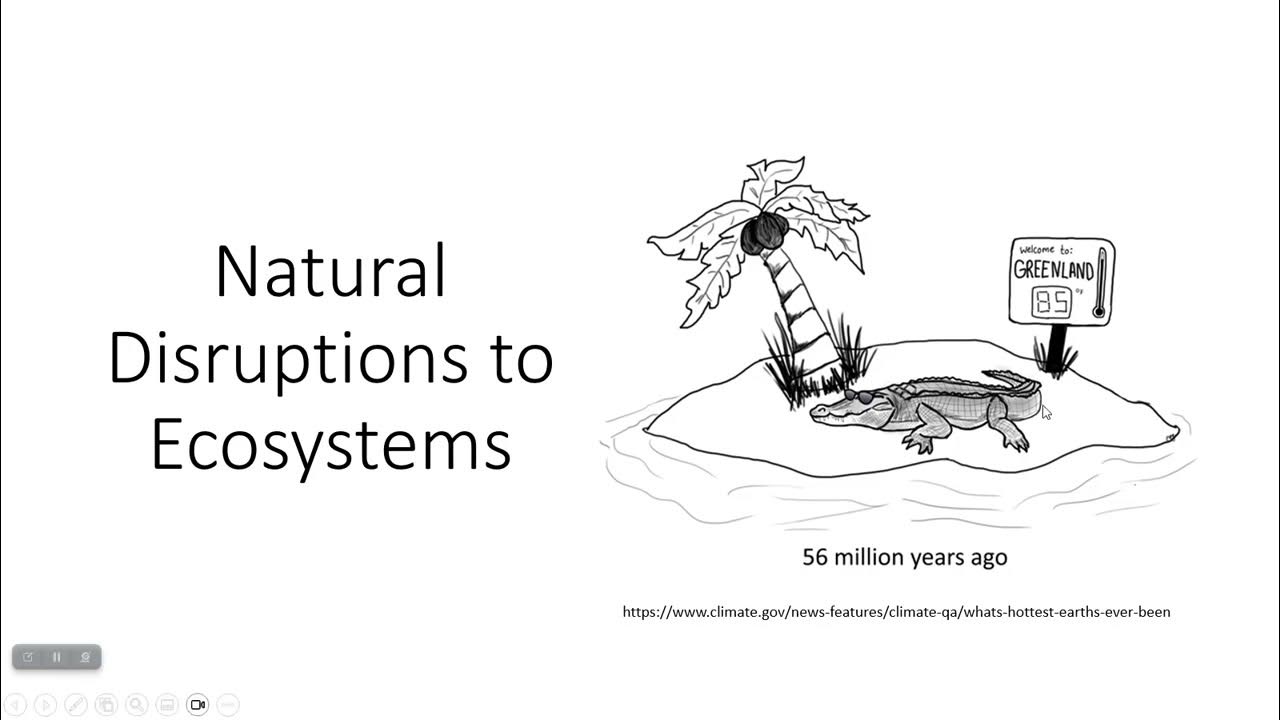 2.5 Natural Disruptions to Ecosystems - YouTube