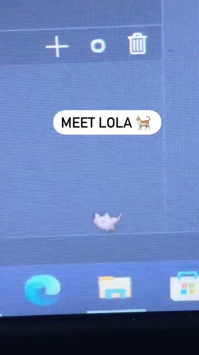 Just discovered the cutest VS Code Pet extension - YouTube