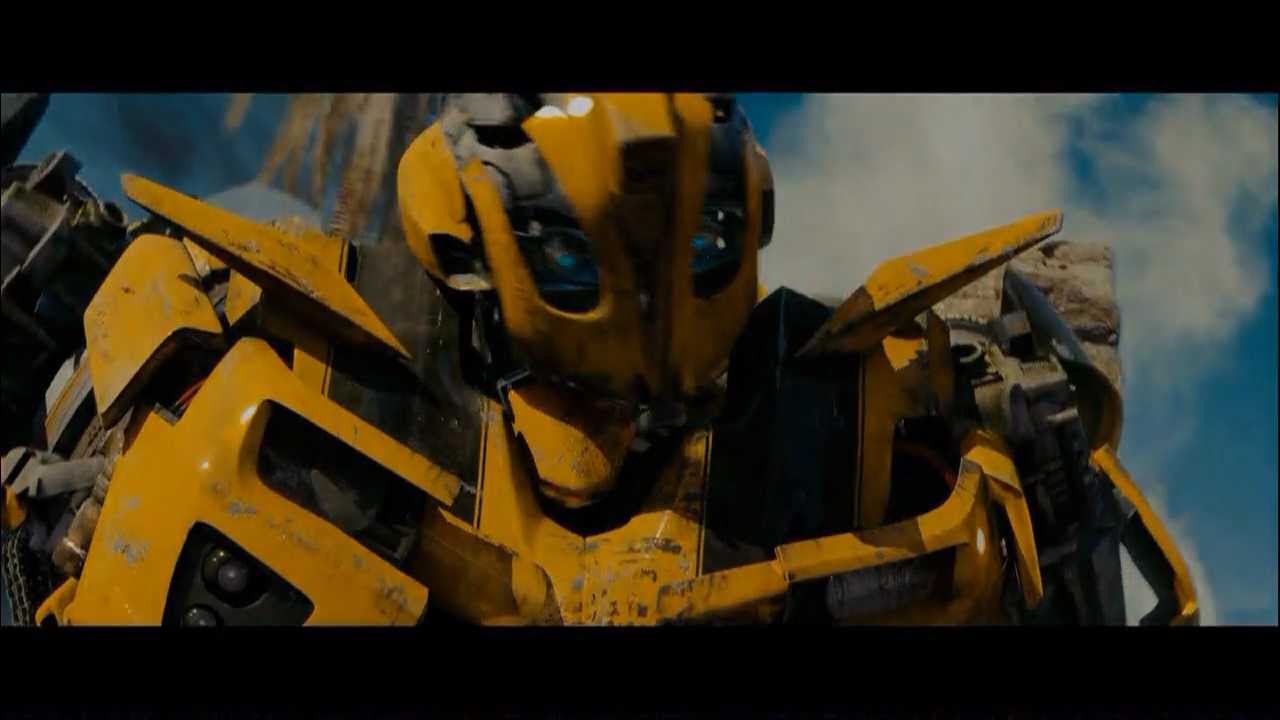 Bumblebee in AcTioN - YouTube