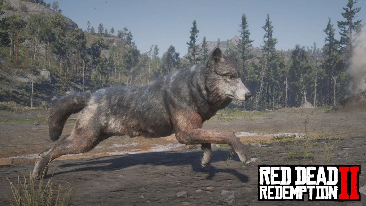 LEGENDARY WOLF | Red Dead Redemption 2 (Part 59) - YouTube