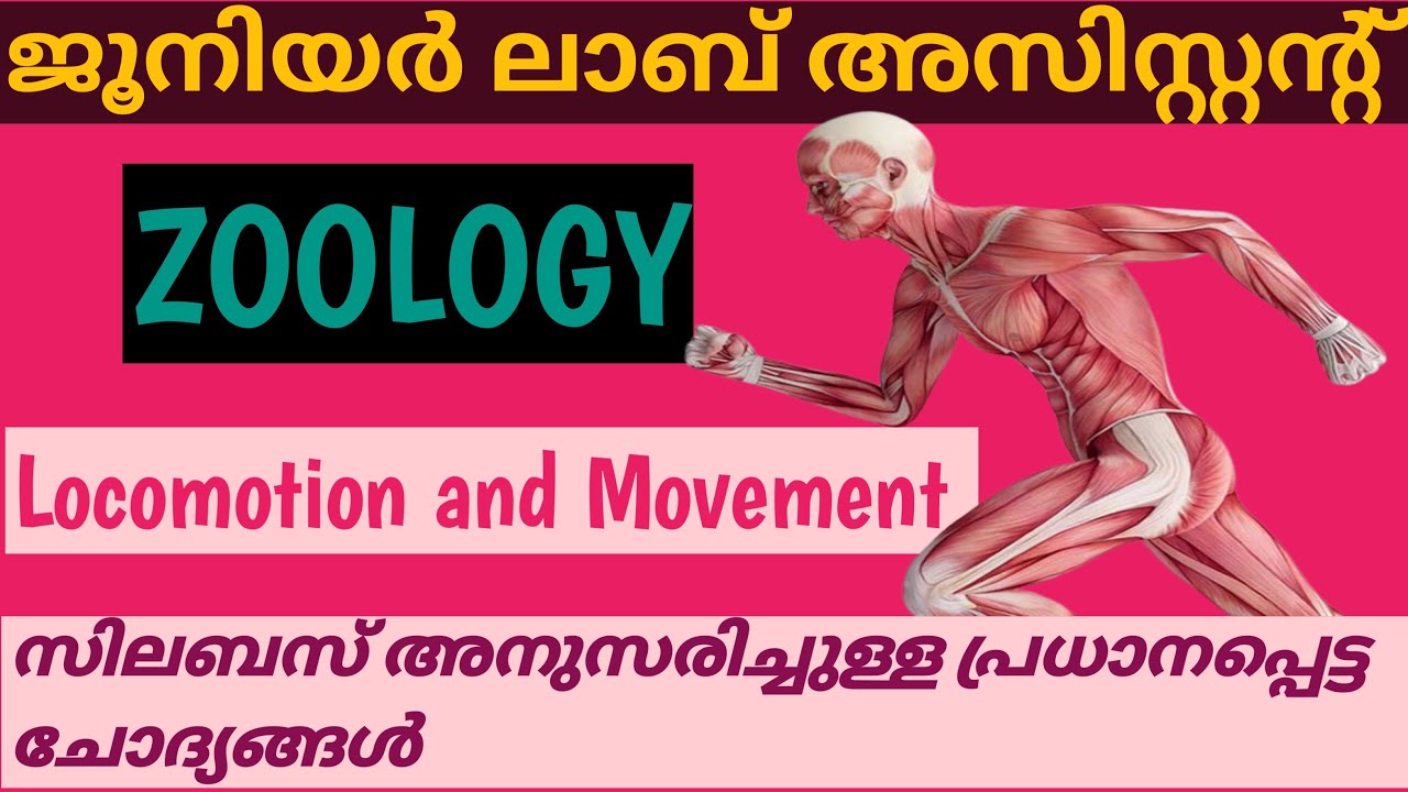 JUNIOR LAB ASSISTANT/ZOOLOGY/LOCOMOTION AND MOVEMENT /PART - 1/MCQ ...