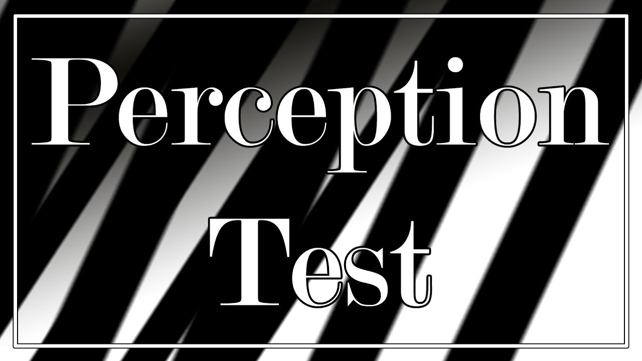 Test Your Perception YouTube Test Your Perception YouTube