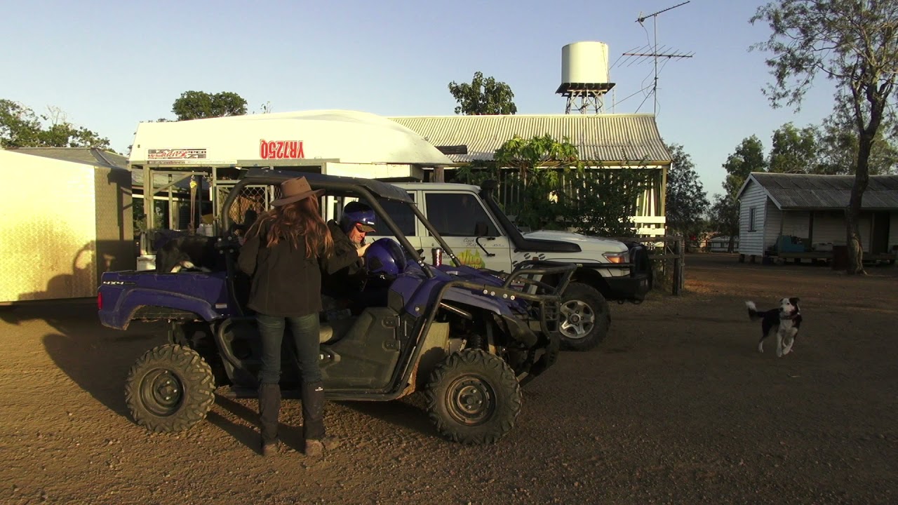 Wild Dog trapping in Australia with Clark McGhie - YouTube
