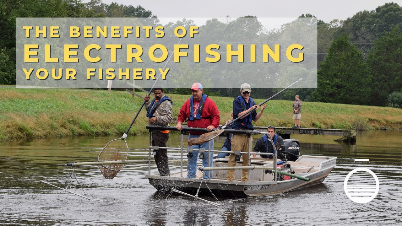 Electrofishing: The Key to a Balanced and Thriving Fishery - YouTube