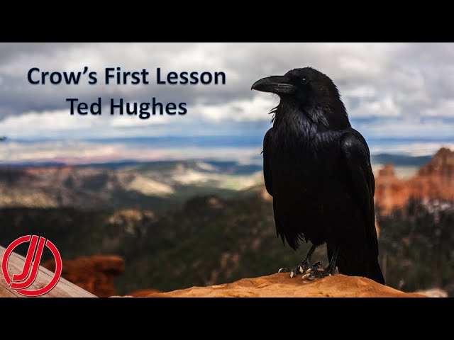 Ted Hughes Crow