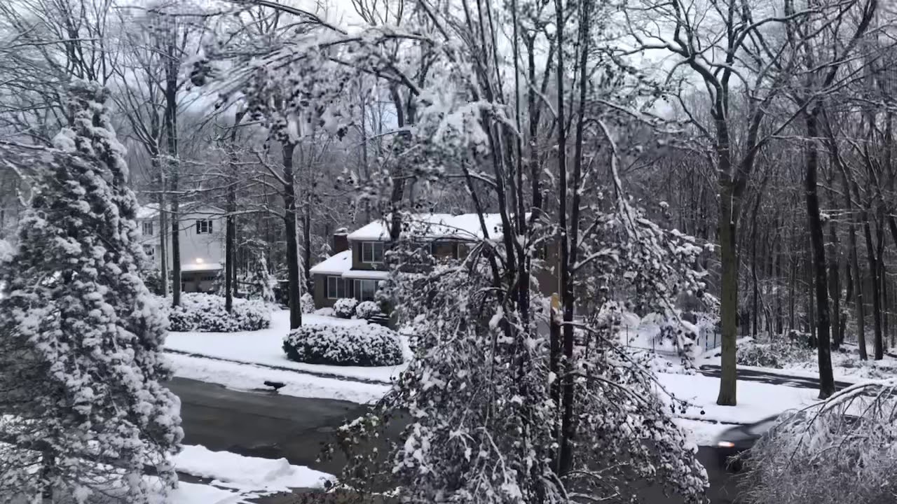 Time-lapse of Snowfall From Late Afternoon to Dusk (December 5, 2019 ...