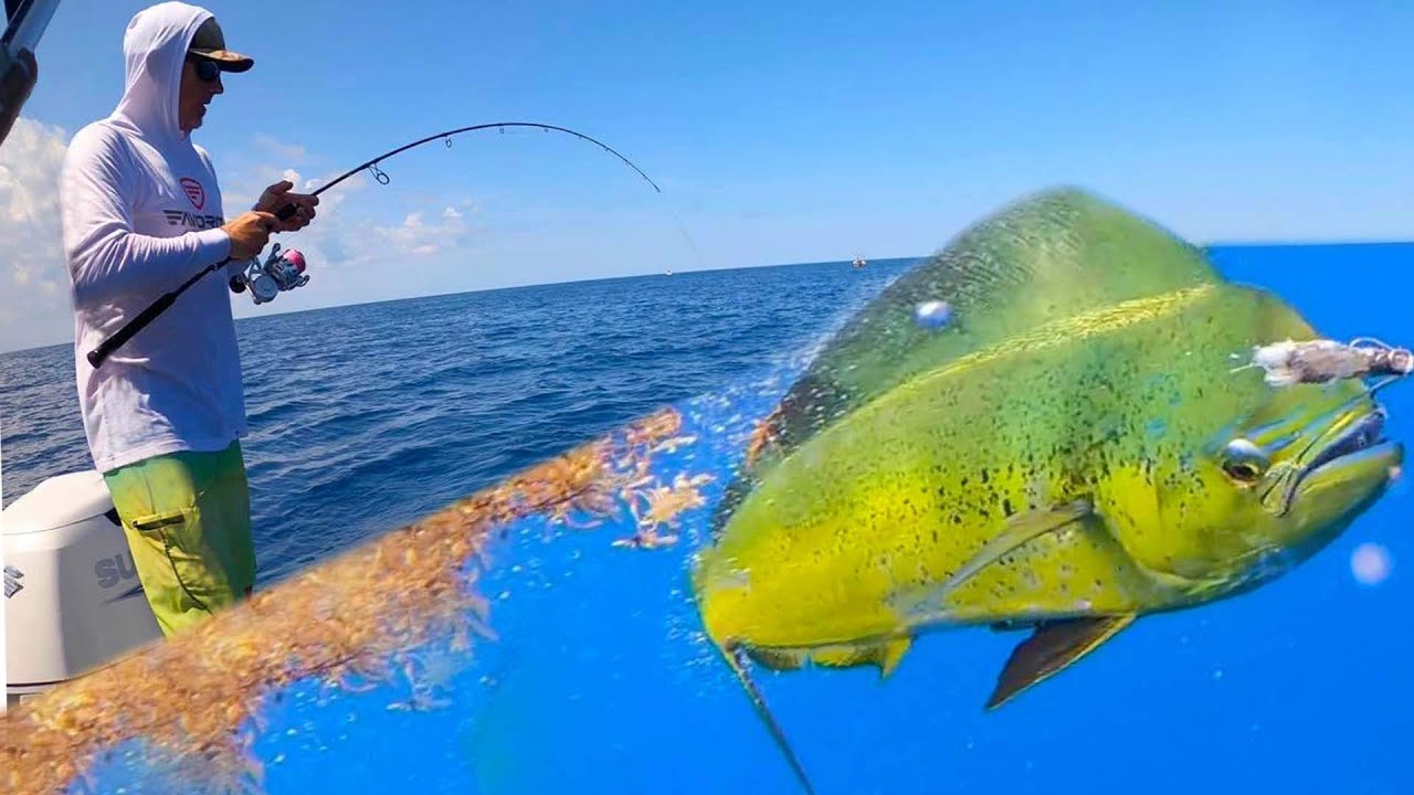 Mahi Catch Clean and Cook (Best Fish Recipe- Ever) - Bluegabe
