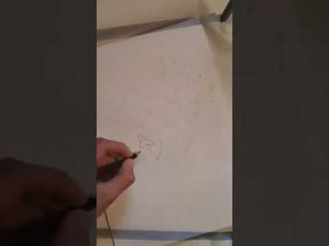 Aslan resmi nece çekilir // heyvan şekilleri#1