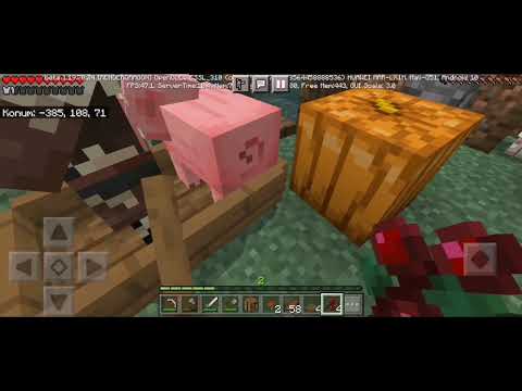 Yeni macera minecraft survival bölüm 1 to be continued...