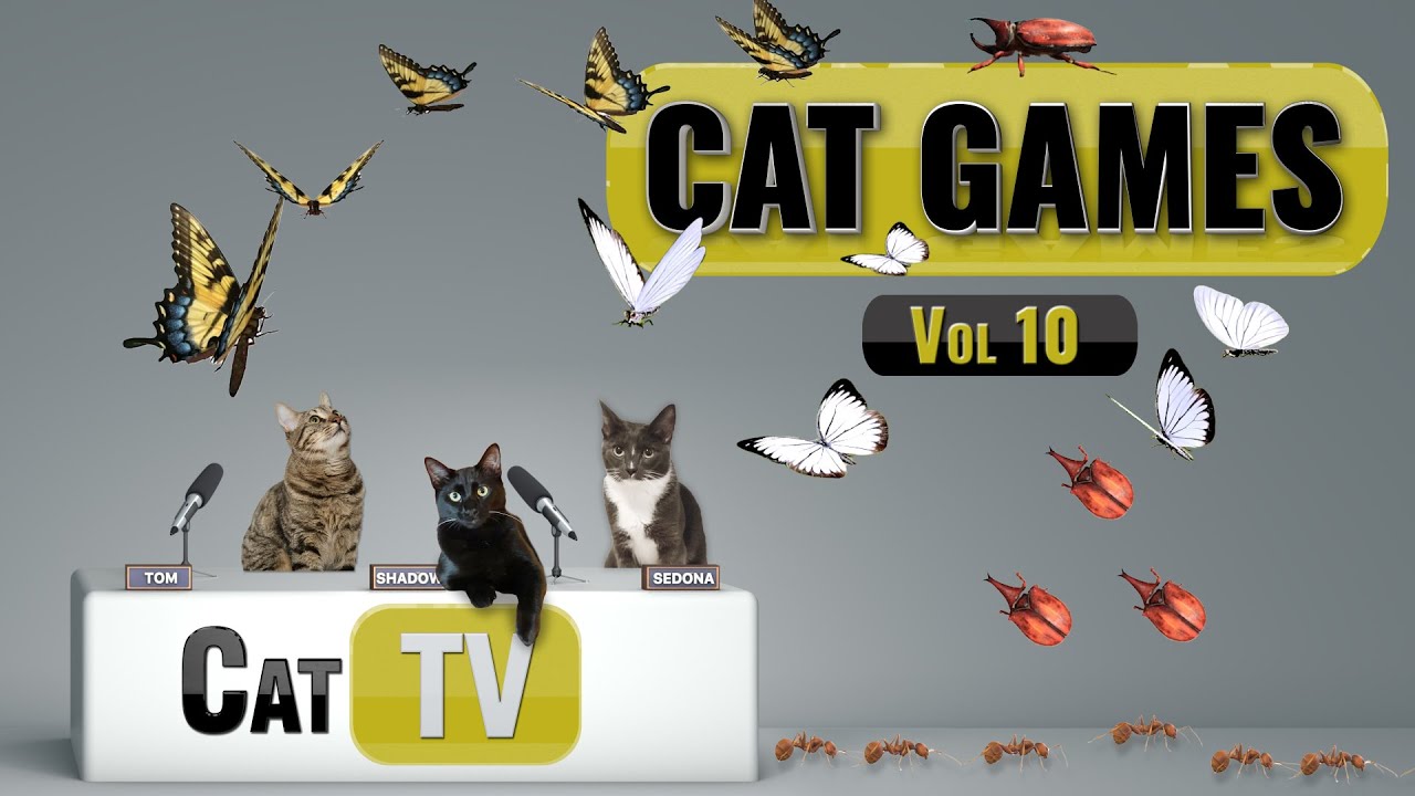 CAT Games | Ultimate Cat TV Bugs and Butterflies Compilation Vol 10 🐝🐞🦋 ...