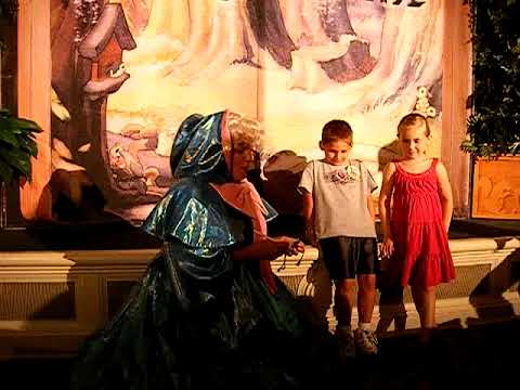 Fairy Godmother - Disney 2008 - part 3