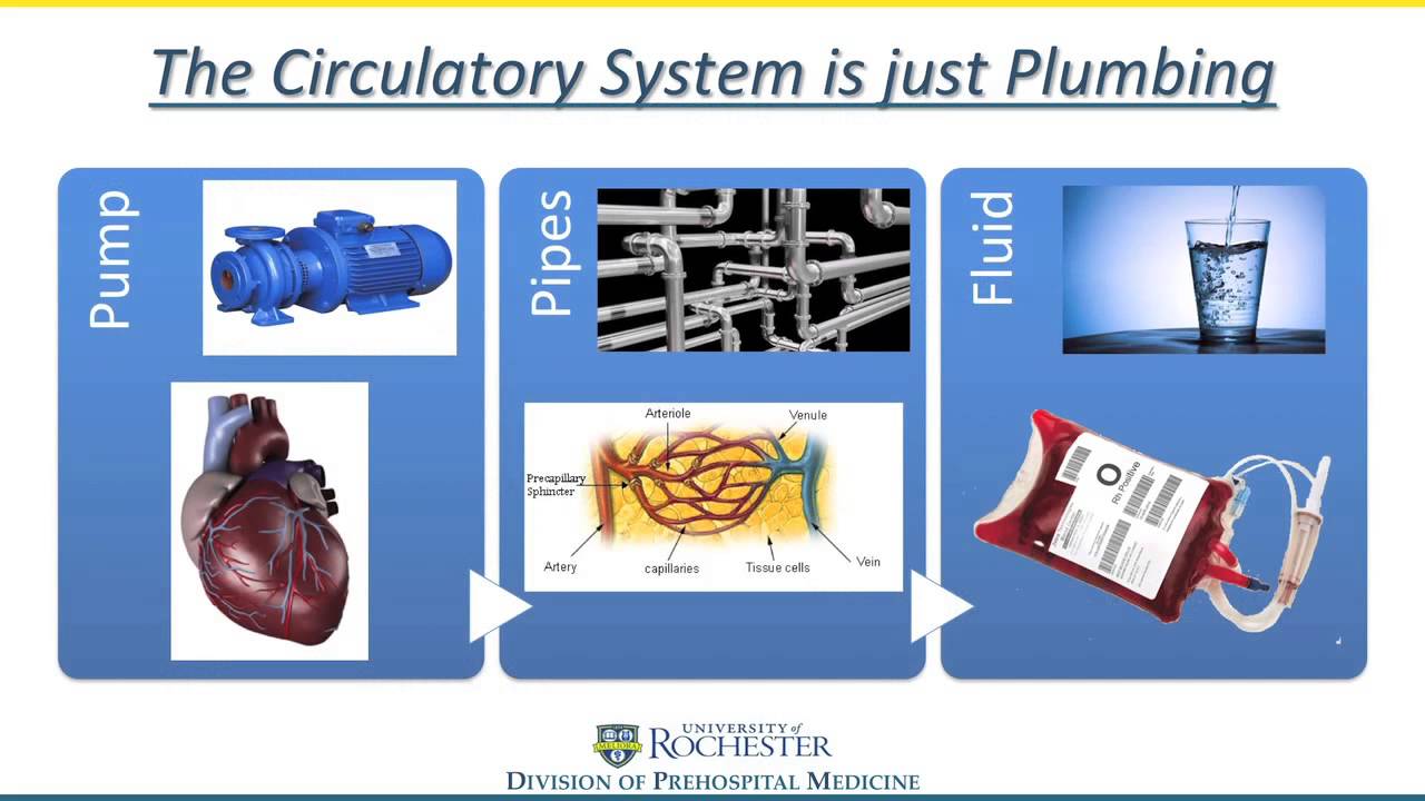 Sepsis & Distributive Shock Final - YouTube