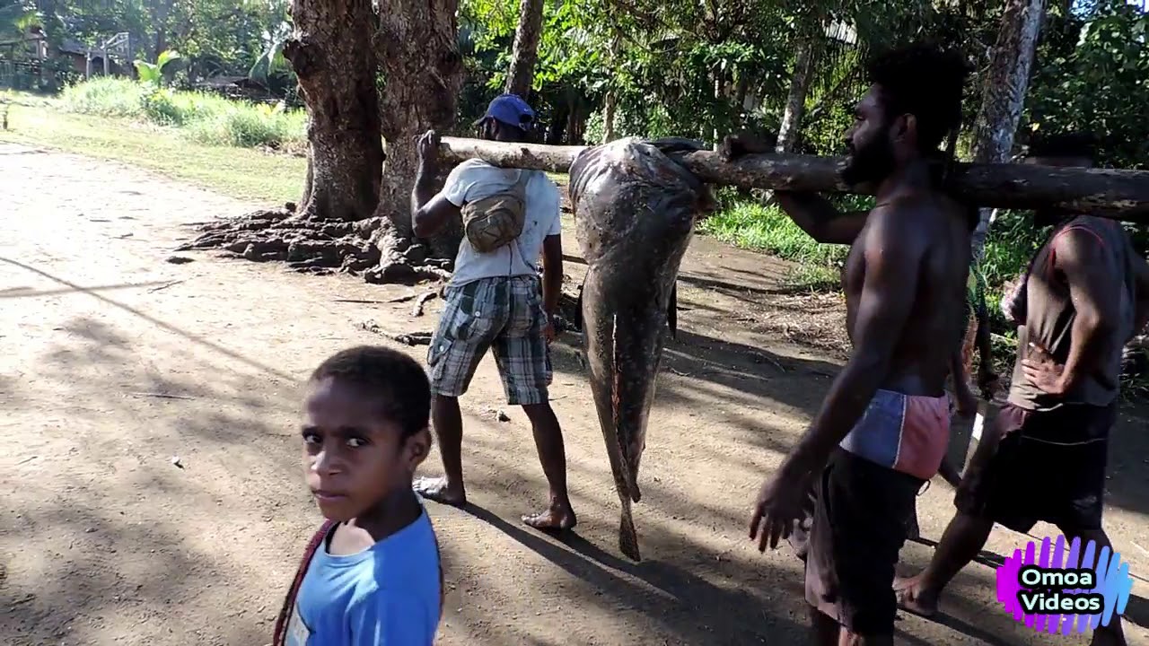 PANAROA POINT (KAPAI) & MAPAIO SUNSET AND SUNRISE - YouTube