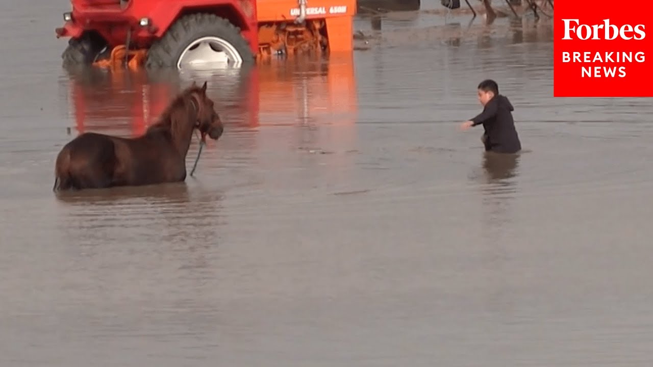 Flooding Continues In Romania, Poland And Austria Following Heavy ...