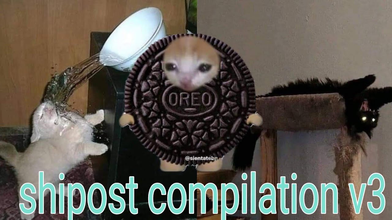 shitpost compilation v3 - YouTube