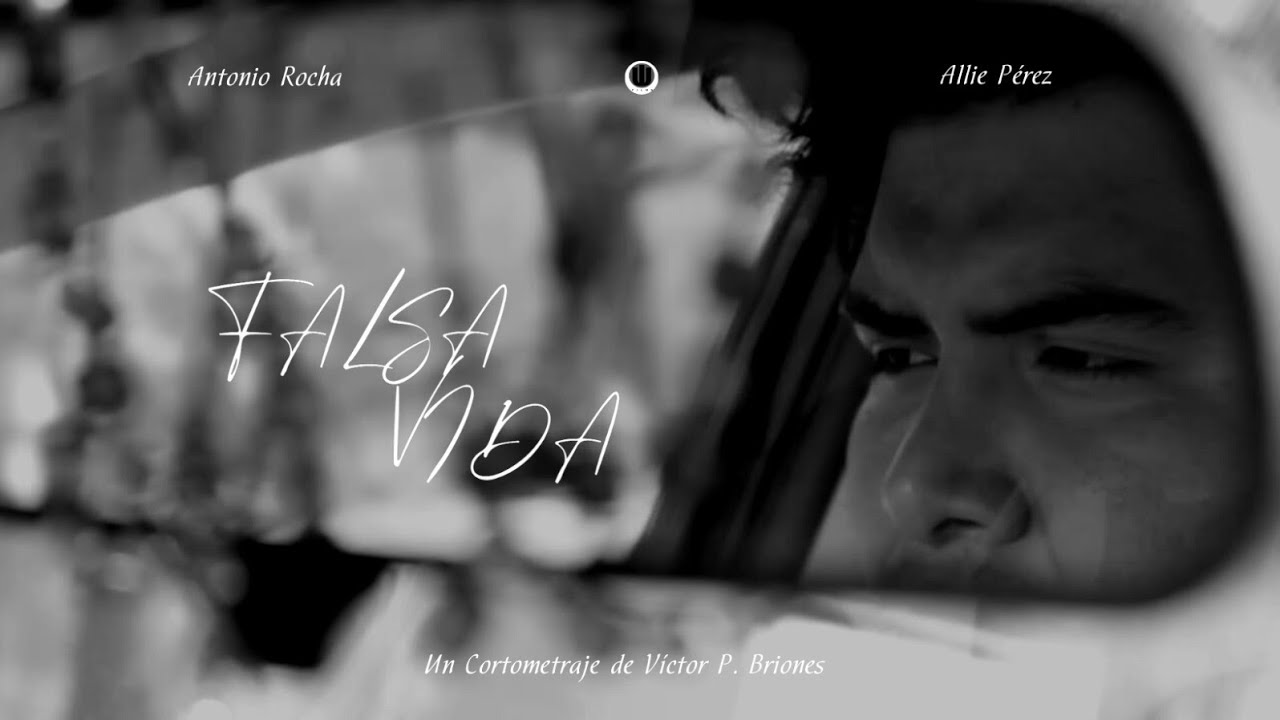Falsa Vida Trailer 1 Oficial - YouTube