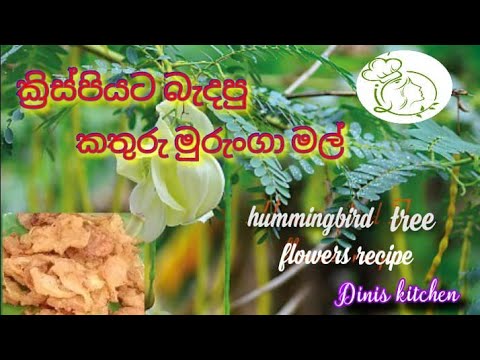 ක්‍රිස්පි කතුරුමුරුංගා මල් රෙසපි | Crispy kathurumurunga mal recipe ...