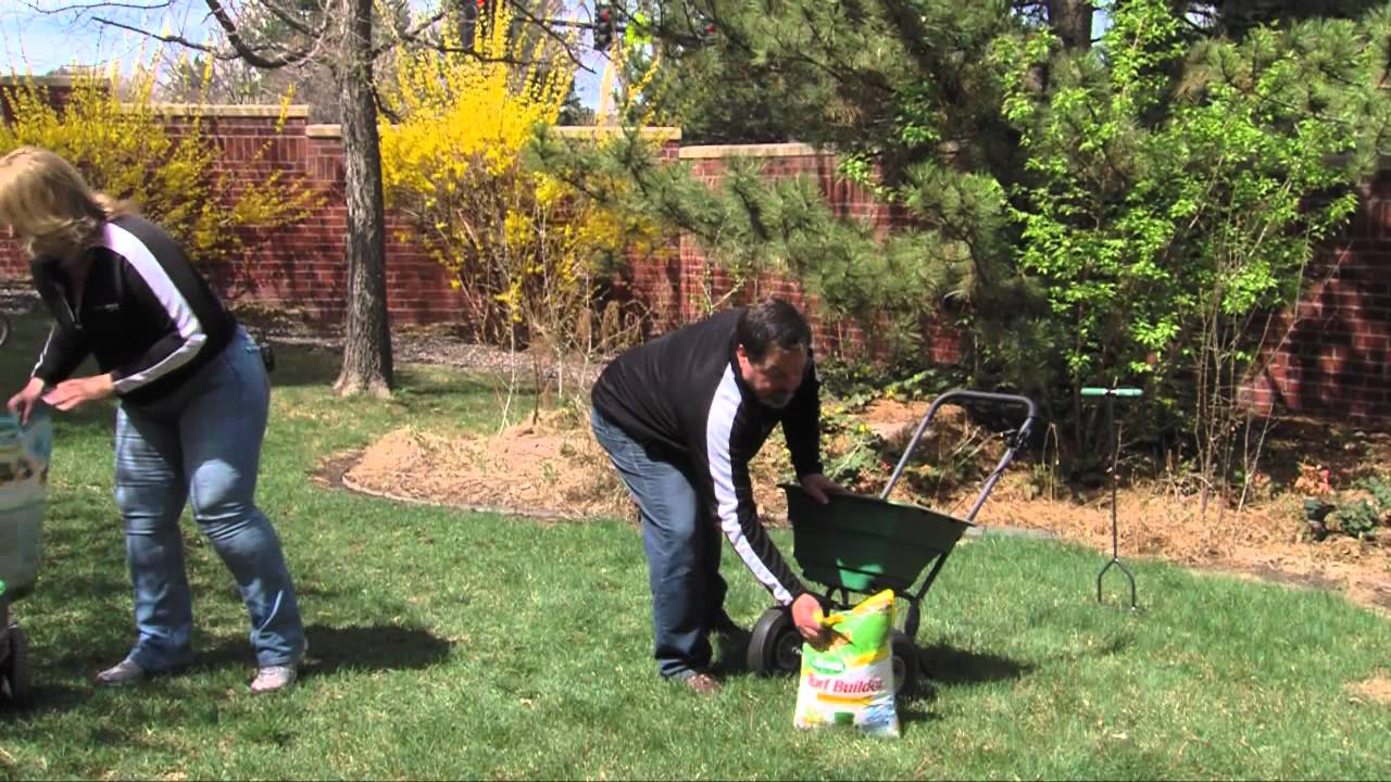 Early Spring Lawn Care - YouTube