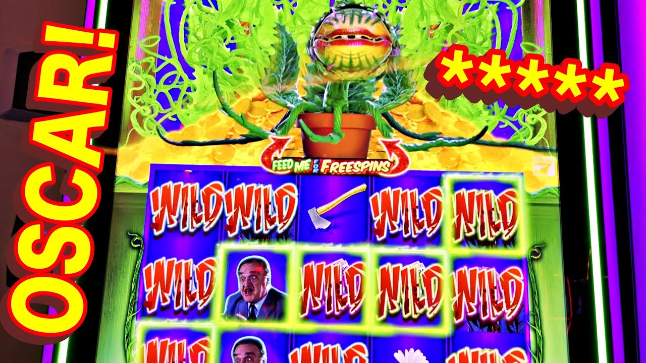 BEST DIRECTED SLOT VIDEO - YouTube