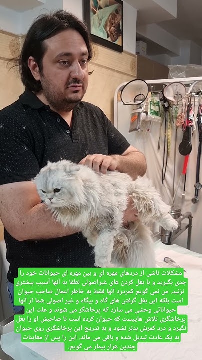 توضیحات من در خصوص علت پرخاشگری گربه هایی که کمردرد دارند Youtube