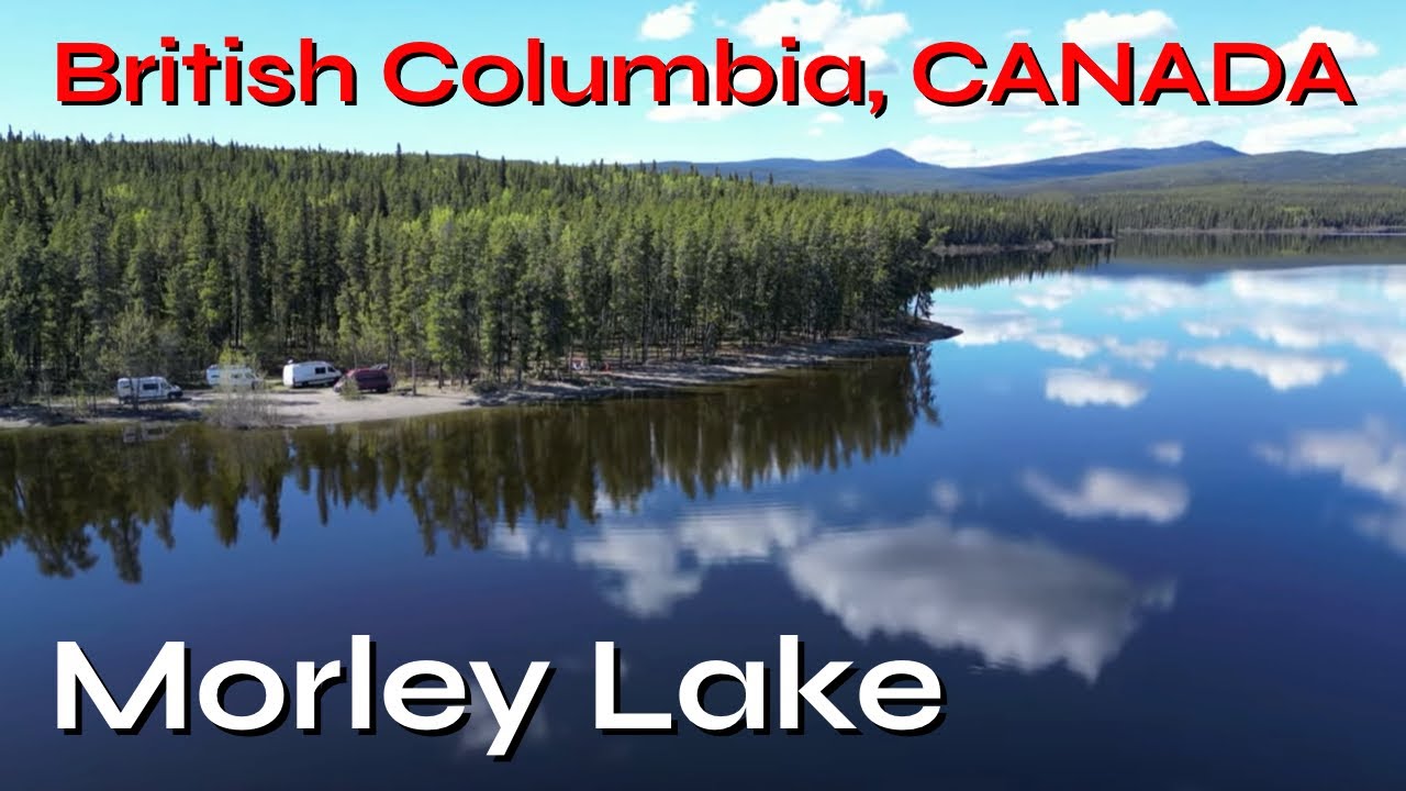 NORTH to Alaska! FREE CAMPING at Morley Lake Recreation Site! BEAUTIFUL ...