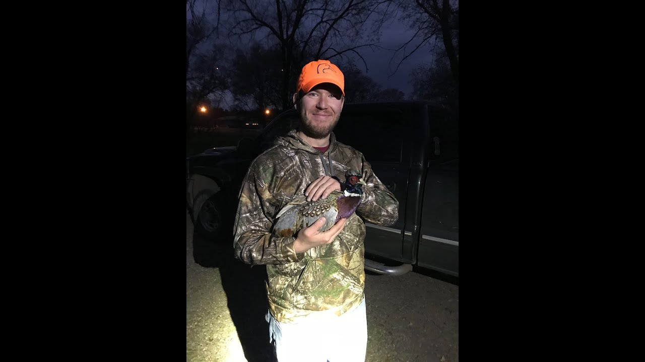 Hunter Chases Down Pheasant - South Dakota 2017 - YouTube